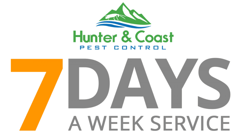Hunter & Coast Pest Control & Handyman Services